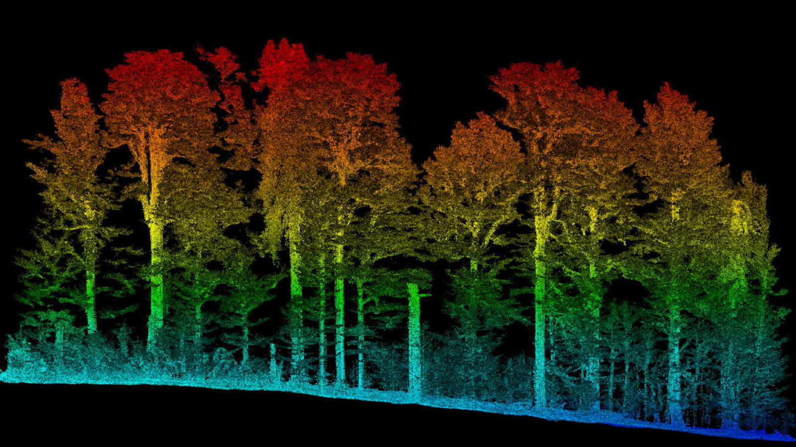 Lasers from space create unique new map of Earth’s forests