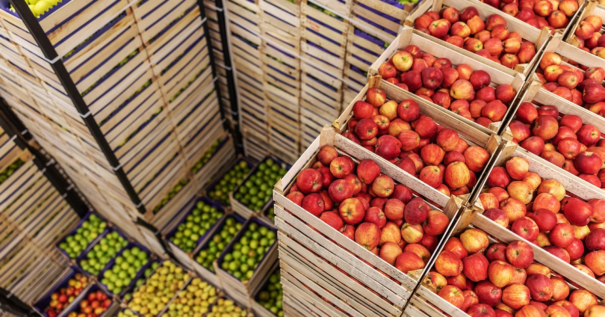 Smart sensor tells you exactly when fruit will ripen — or spoil