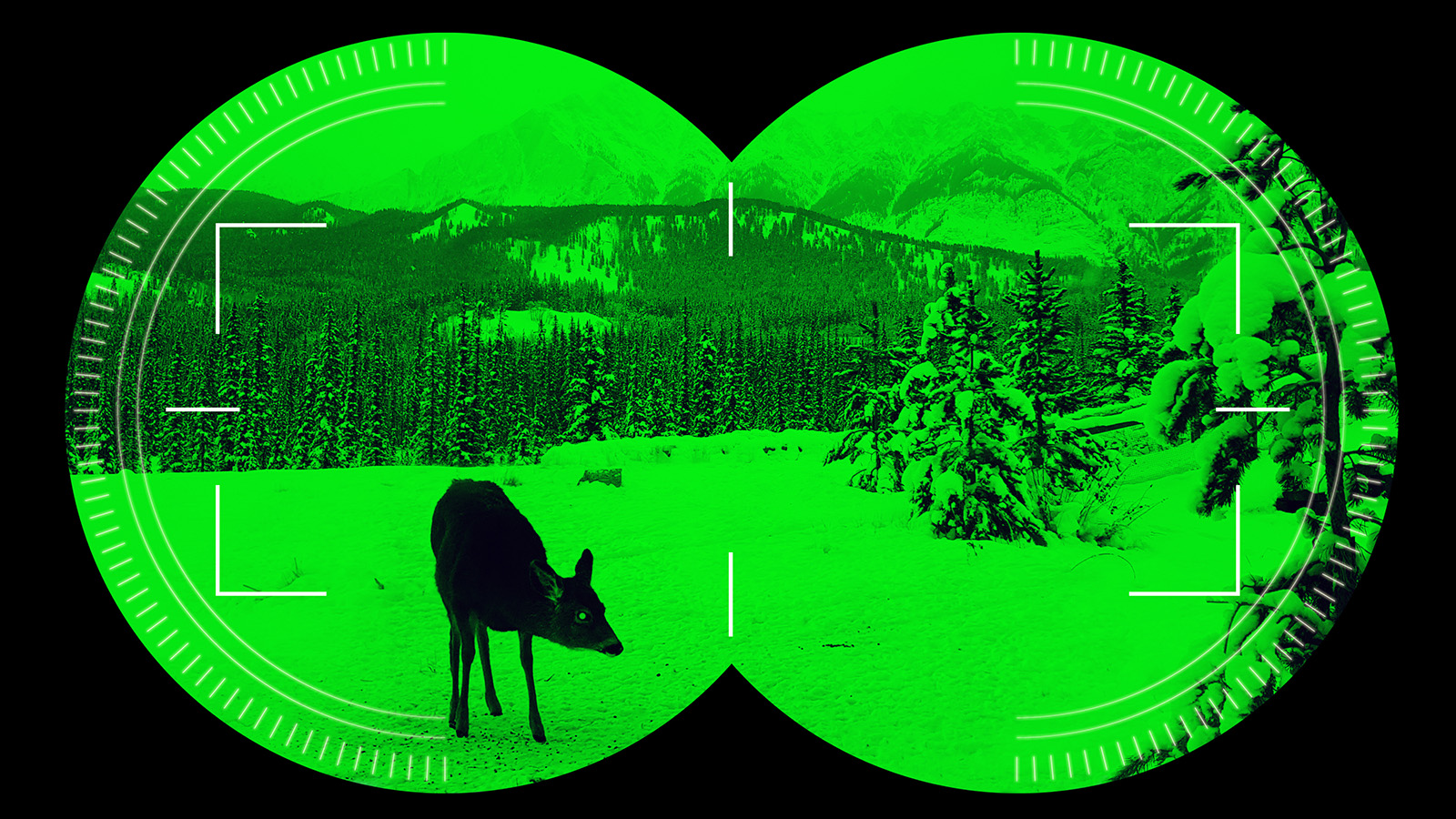 Here’s what full-color night vision looks like now