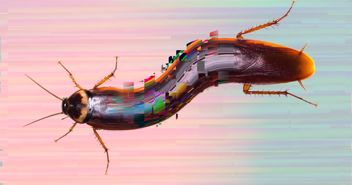 First CRISPR’d cockroaches open door to other gene-edited insects