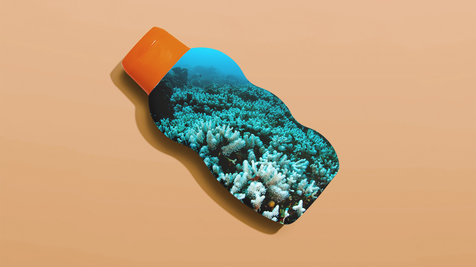We finally know why sunscreen kills coral reefs