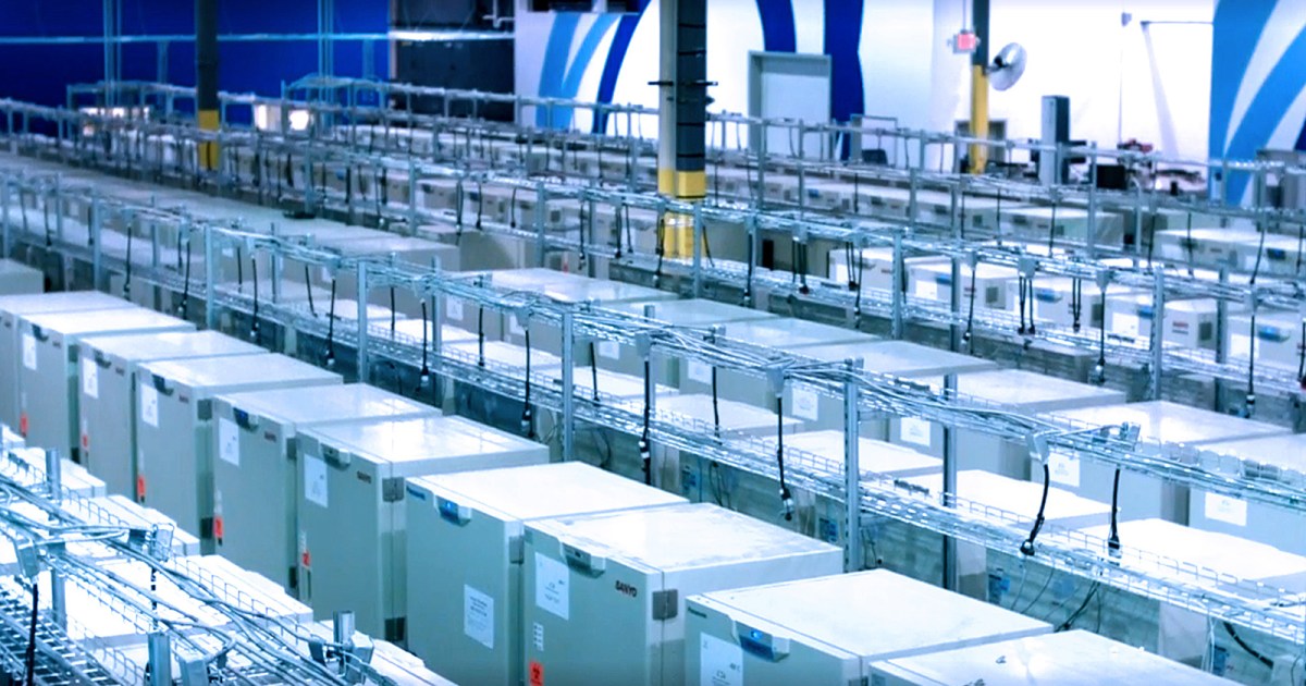 This startup wants you to have a personal stem cell stash