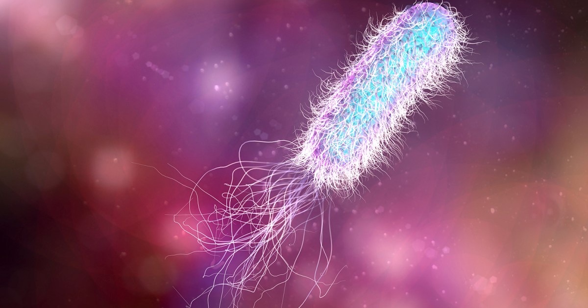 A smart bomber for bacteria could help save antibiotics