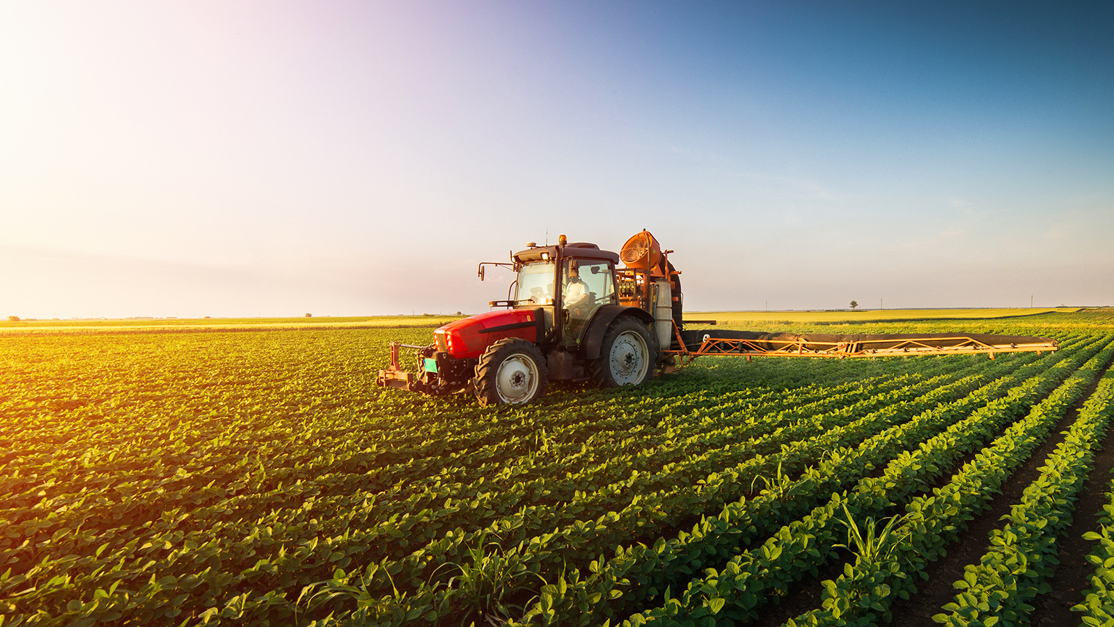 How artificial intelligence is boosting crop yield to feed the world