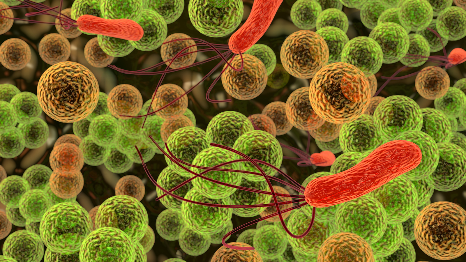 Tiny nanoscale drills can bore holes right through bacteria