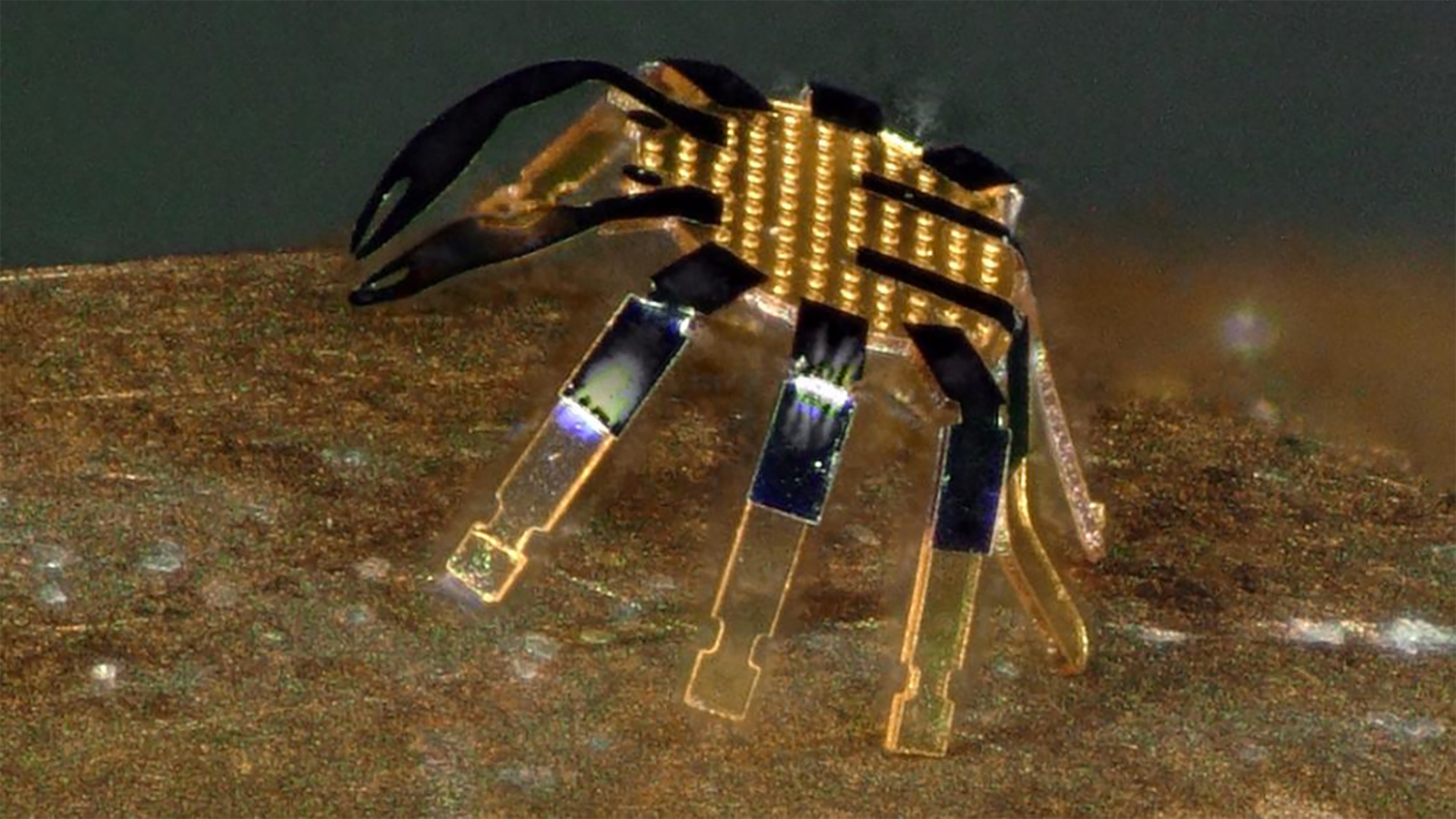 Tiny robotic crab, controlled by lasers, can run, twist, and jump