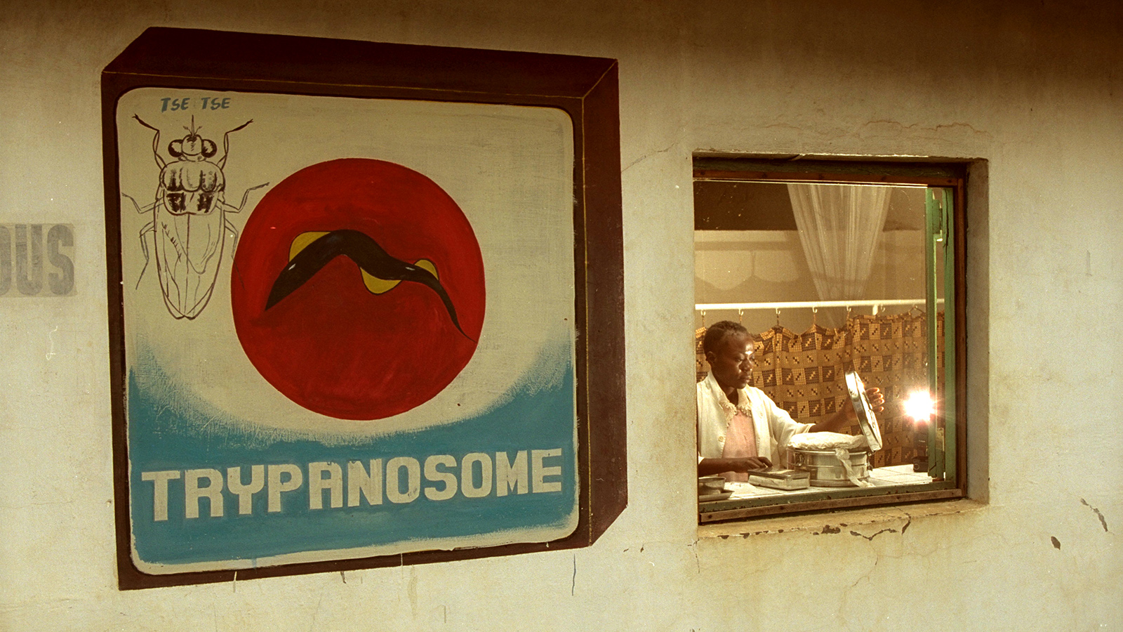 Three more nations eliminate sleeping sickness as a public health threat