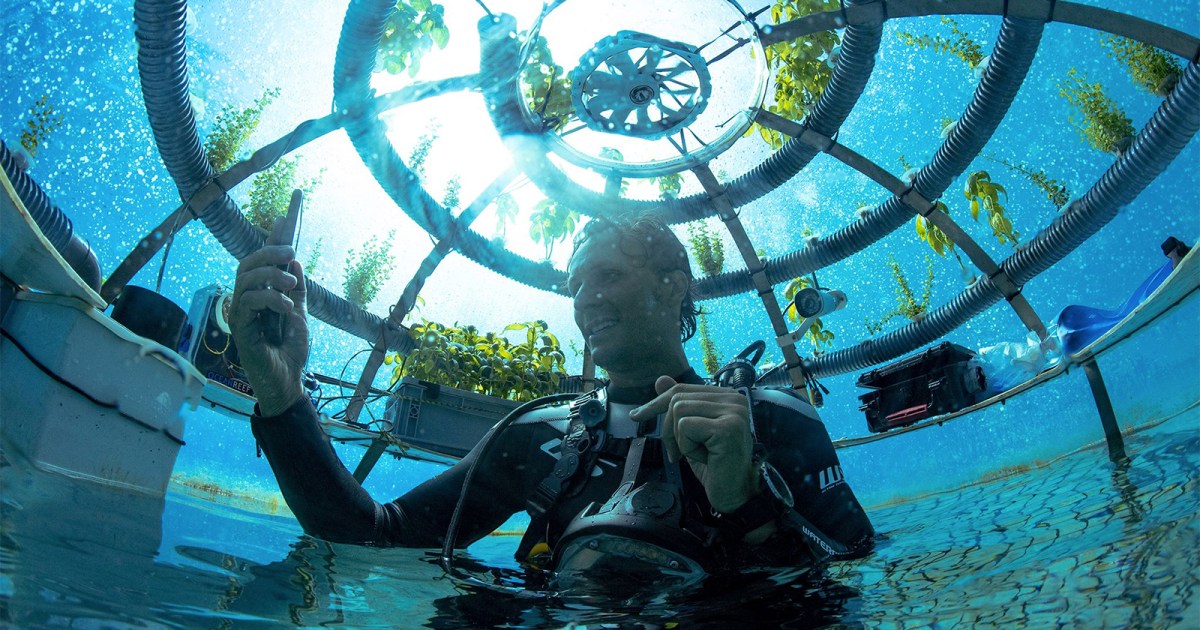 Dive into the world’s first underwater garden
