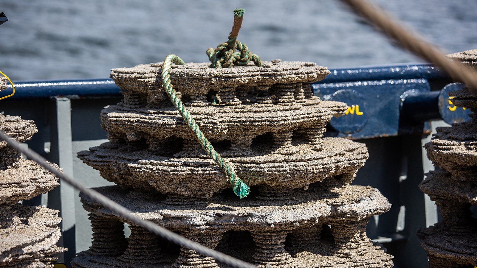 Watch 3D-printed reefs be installed in an offshore wind farm