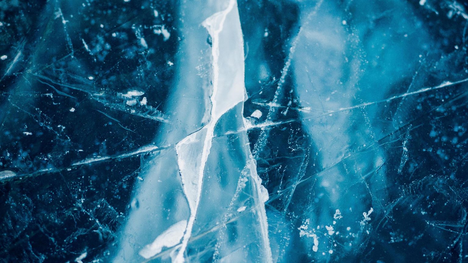 What ever happened to the first cryogenically frozen humans?