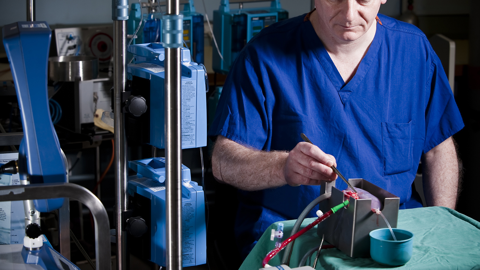 Scientists convert kidney to universal “O” blood type