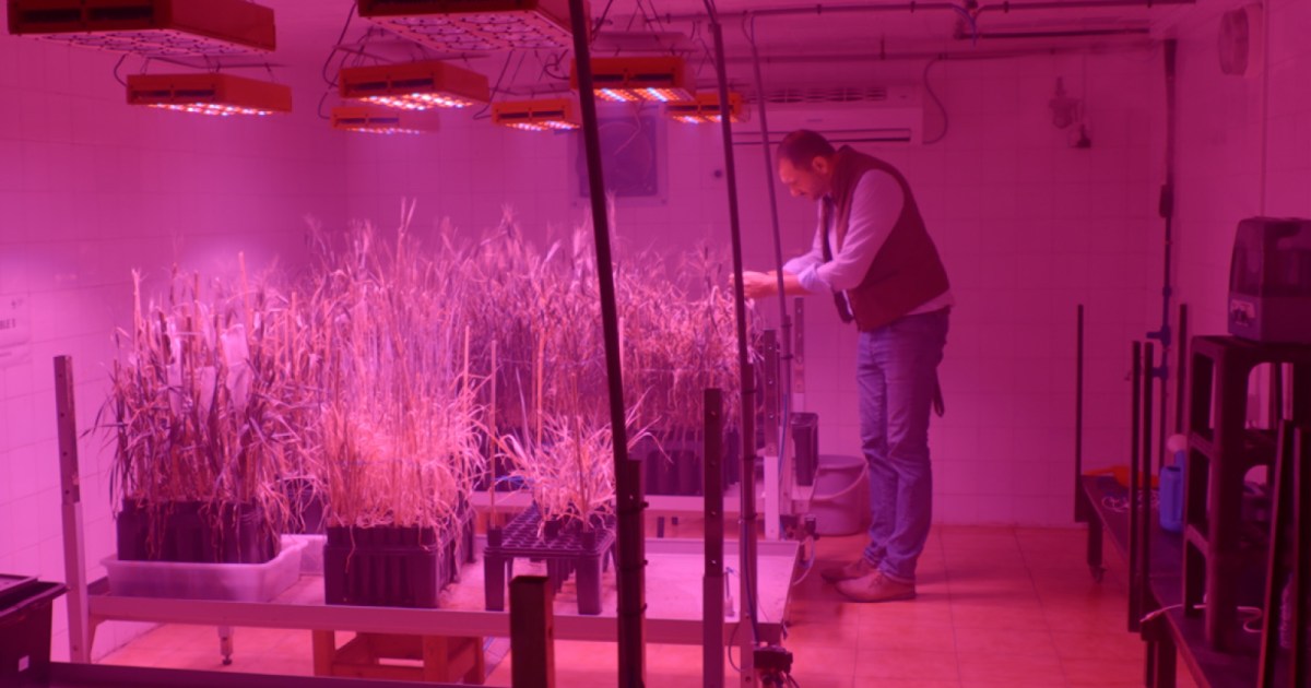 Morocco has a doomsday seed vault. We stepped inside.