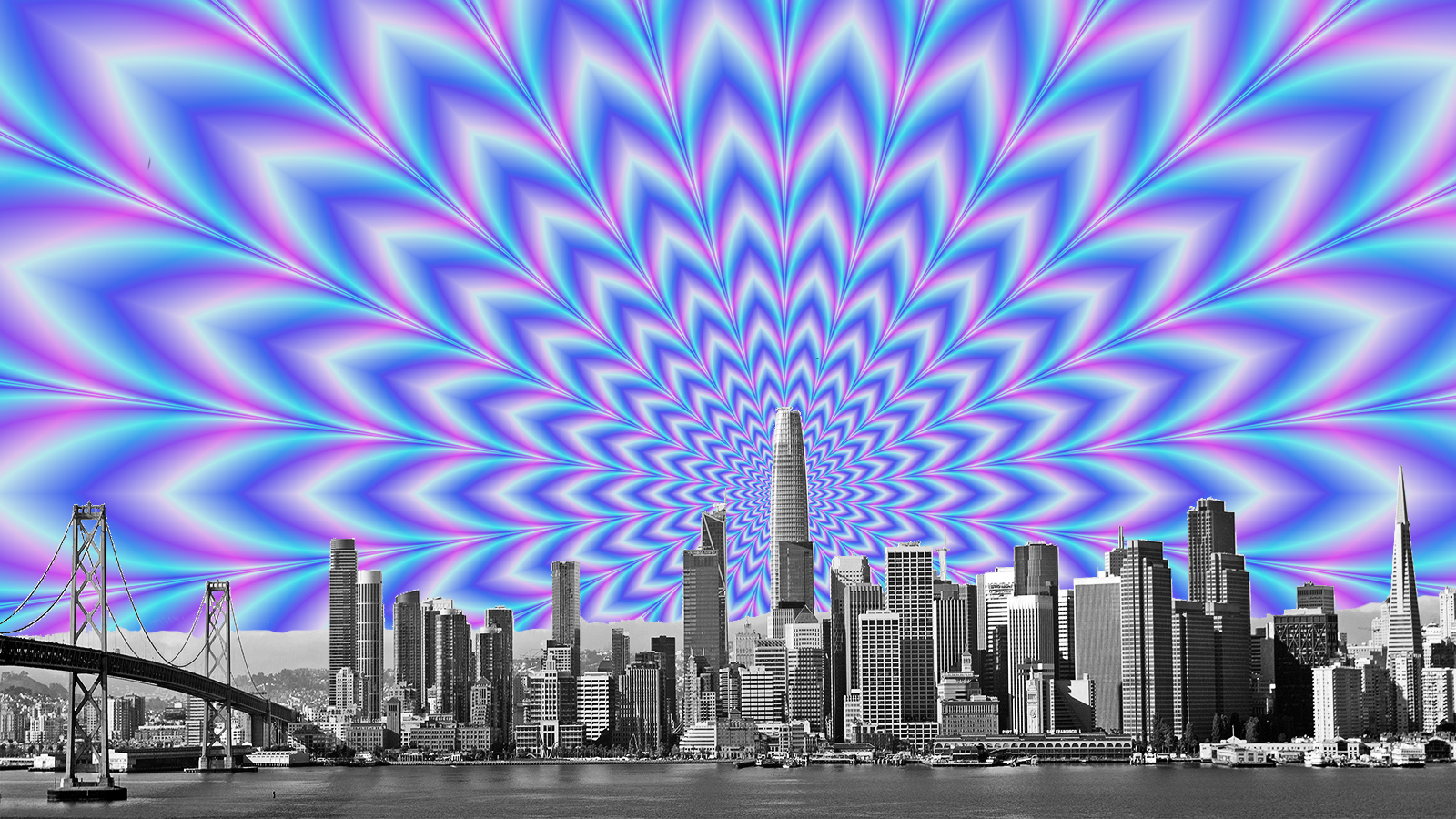 San Francisco decriminalizes plant-based psychedelics