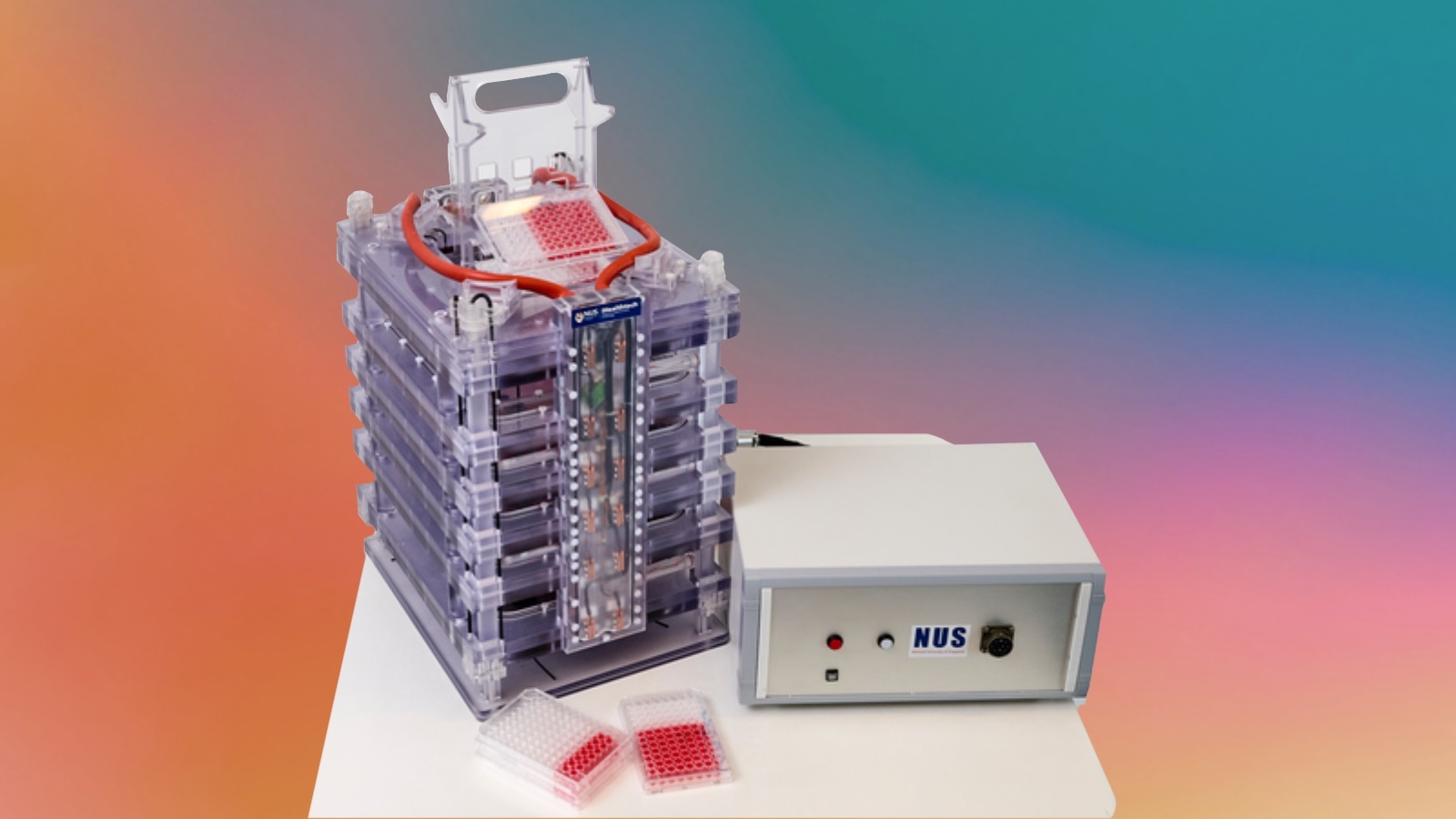 3D printing gives lab-grown beef Wagyu marbling