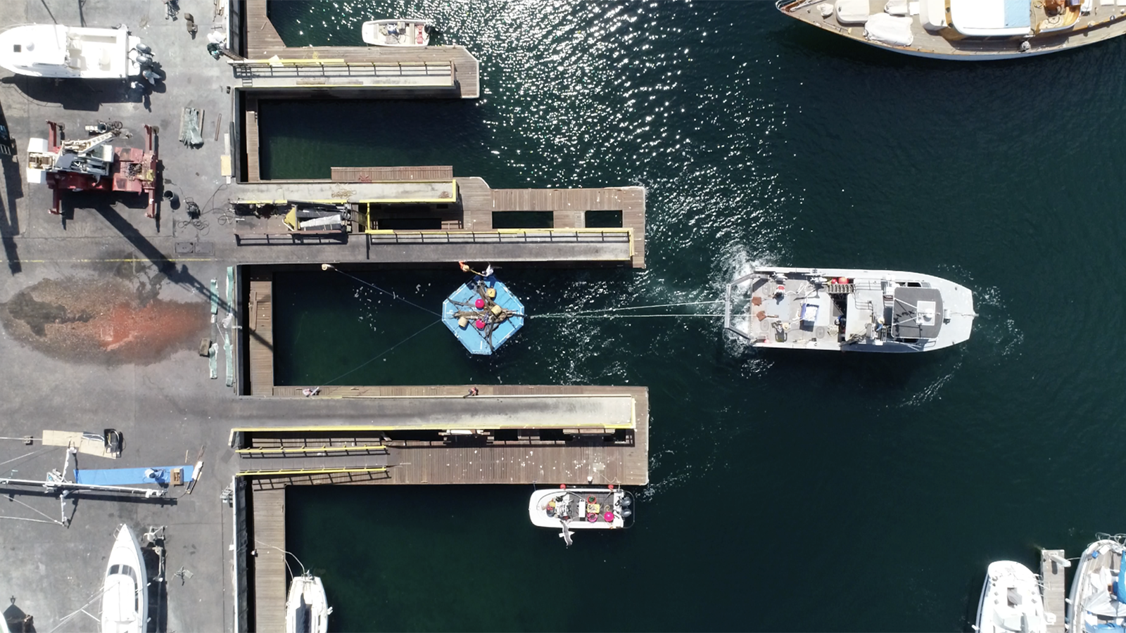 Wave energy generator passes 10-month test at sea