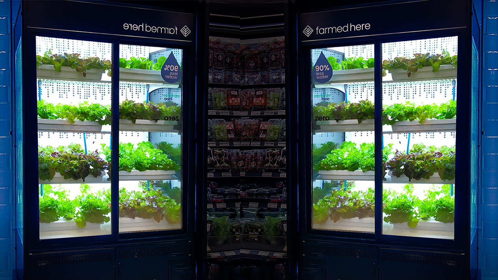 Supermarket uses hydroponic farm to grow veggies onsite
