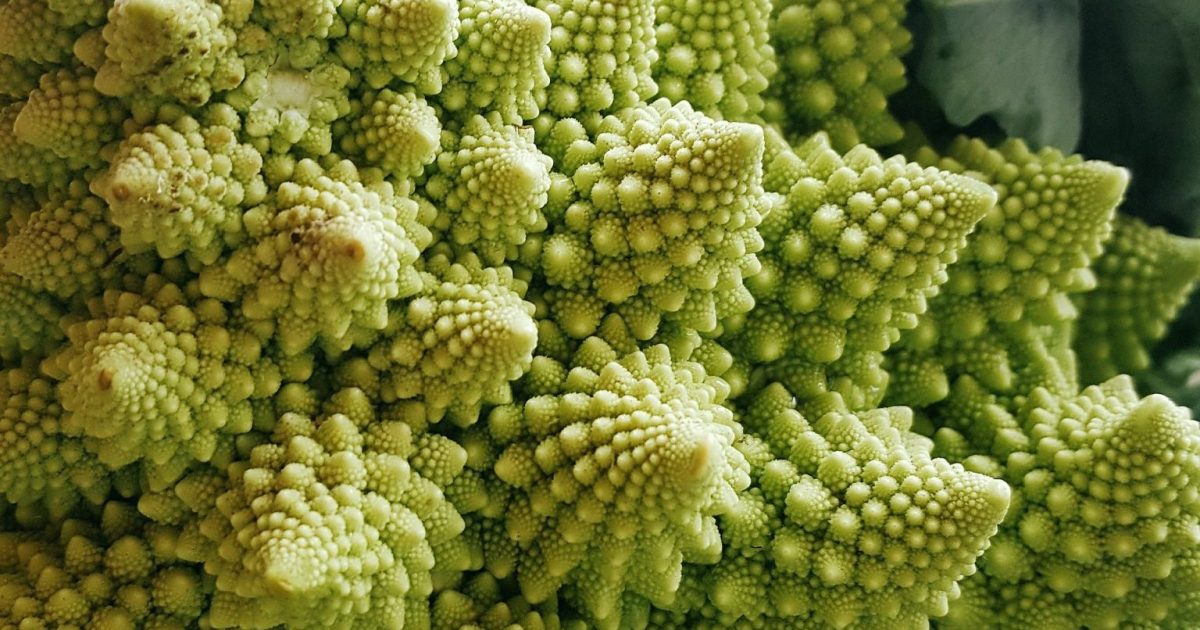 Why does nature create patterns?