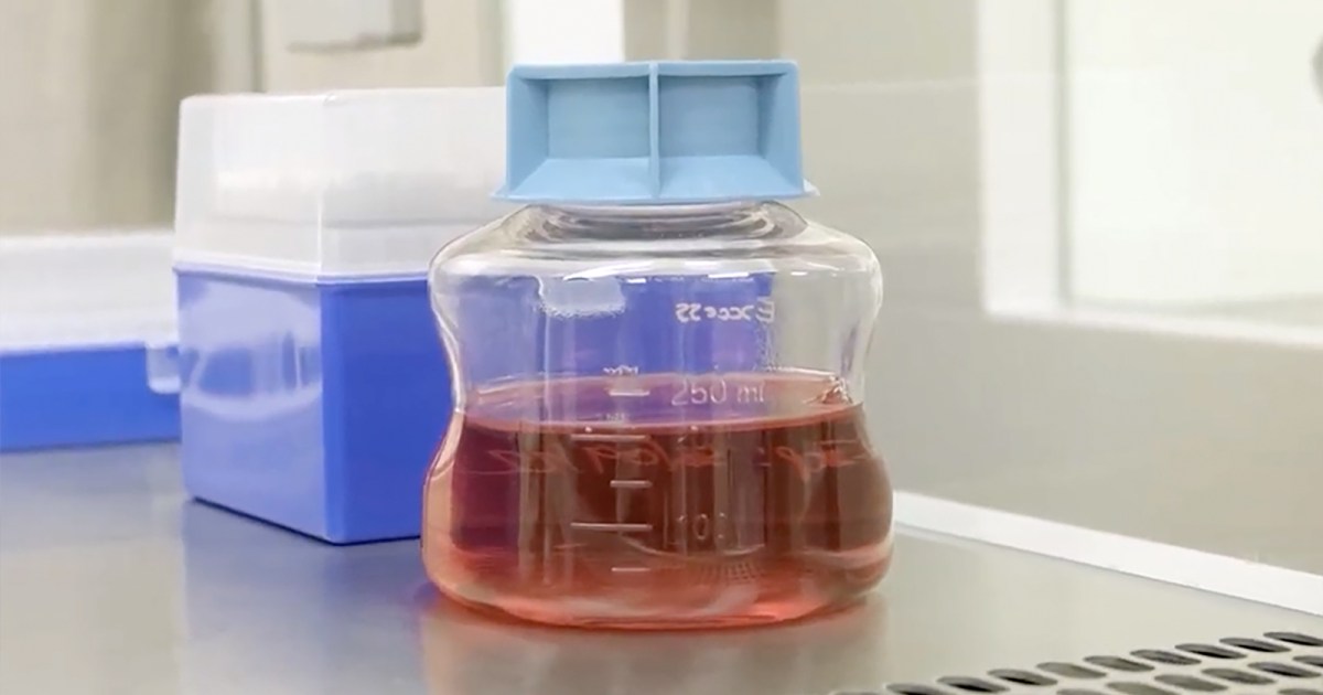UK trials world’s first lab-grown blood transfusions