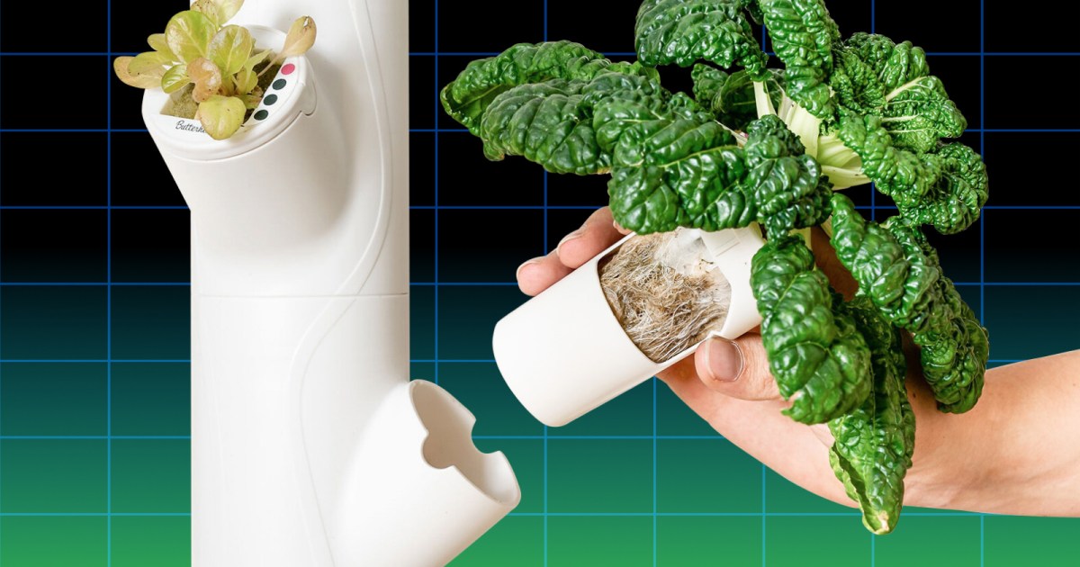 6 futuristic food gifts from Hard Reset