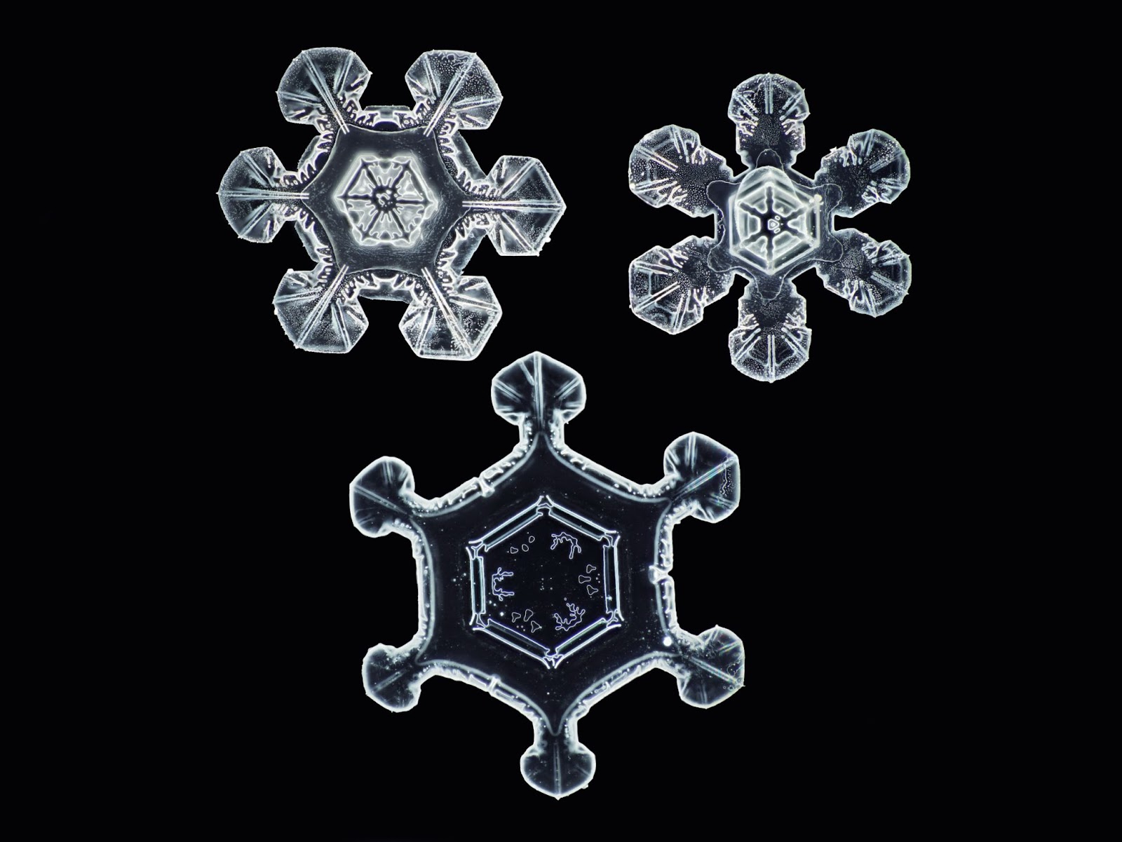 World’s highest-res pictures of snowflakes combine art and tech