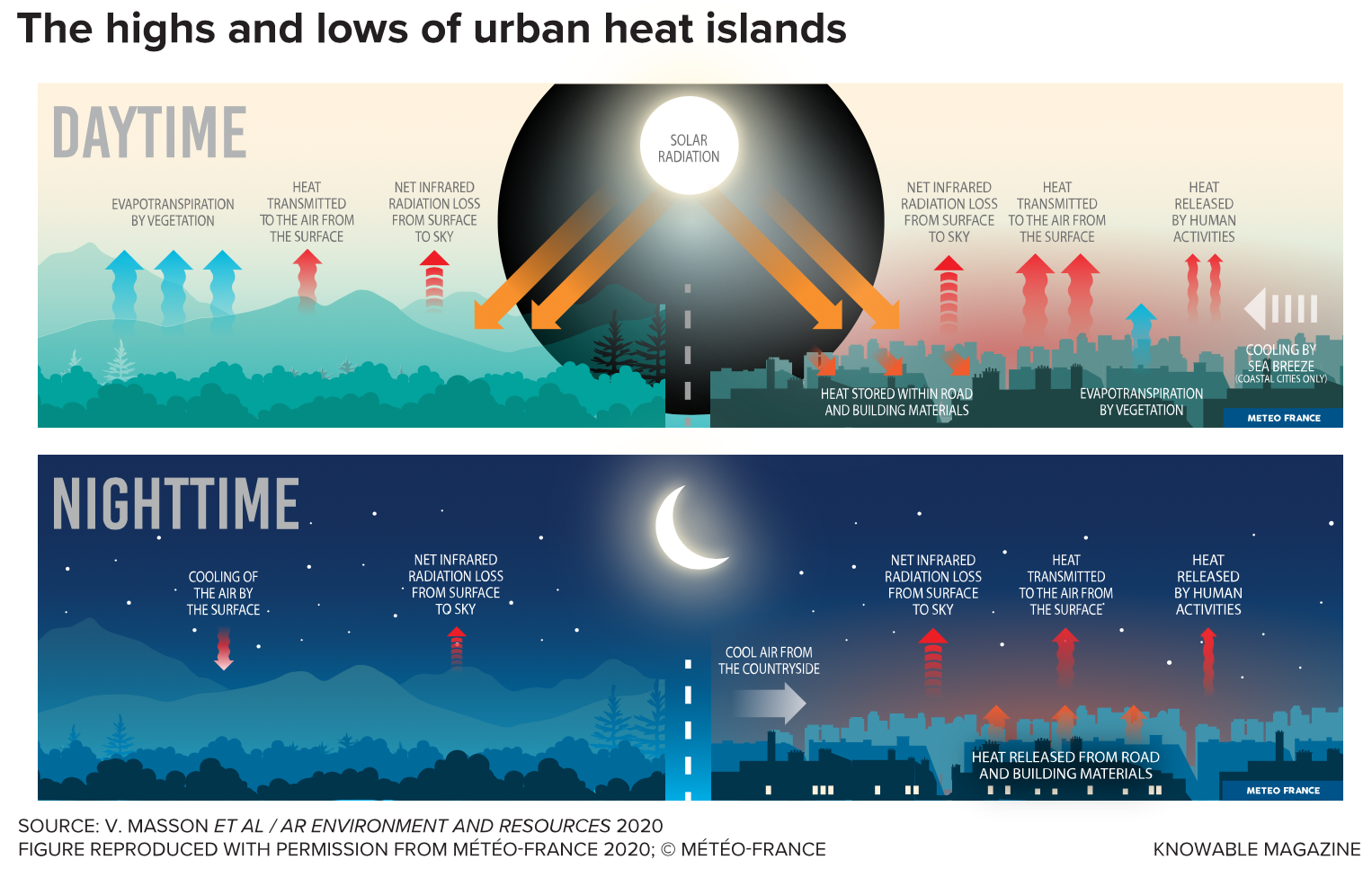 What can cities do to survive extreme heat?