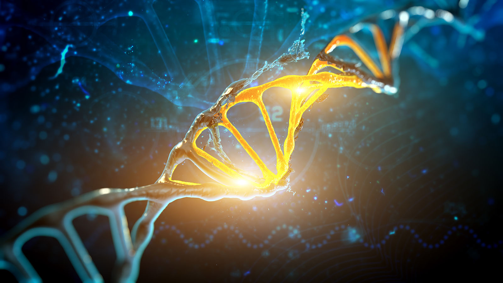 Study finds 155 tiny new genes evolving in humans