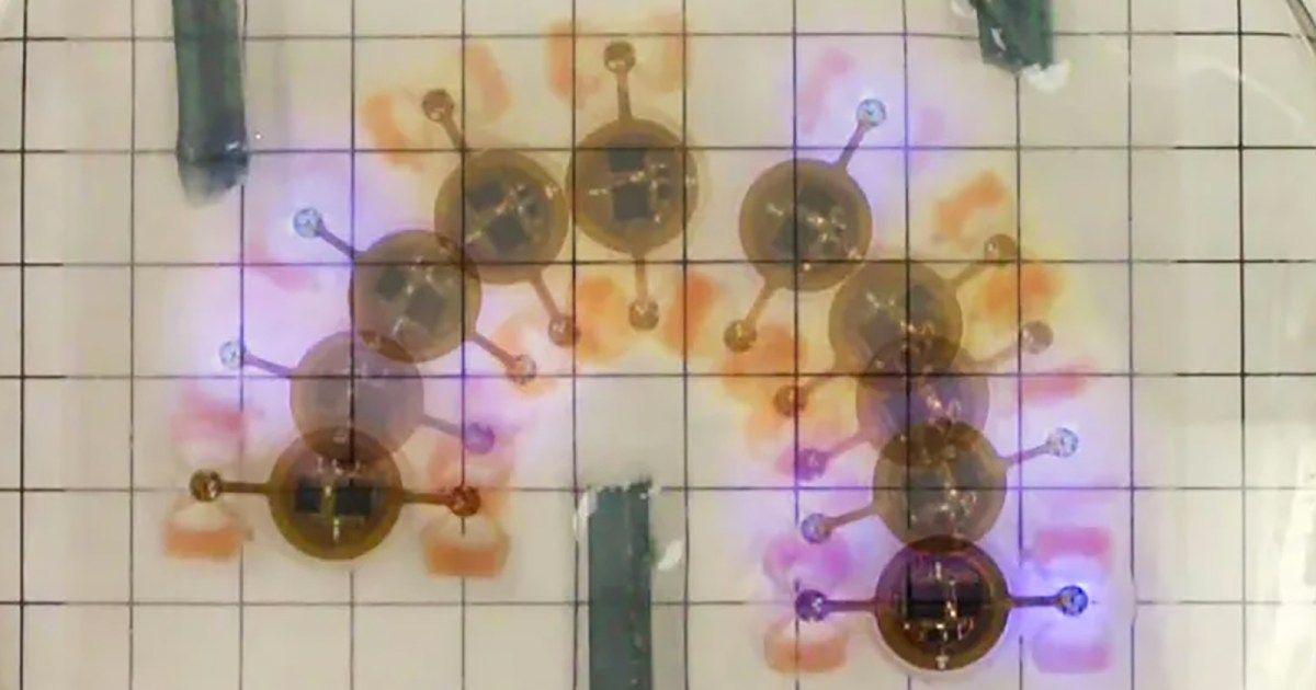 New “biohybrid” machines weave electronics with living cells