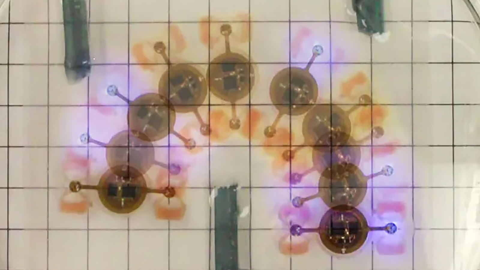 New “biohybrid” machines weave electronics with living cells