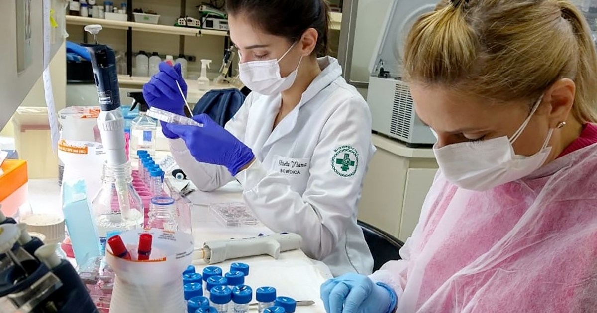 “Bioprinted” skin could help end animal testing for cosmetics