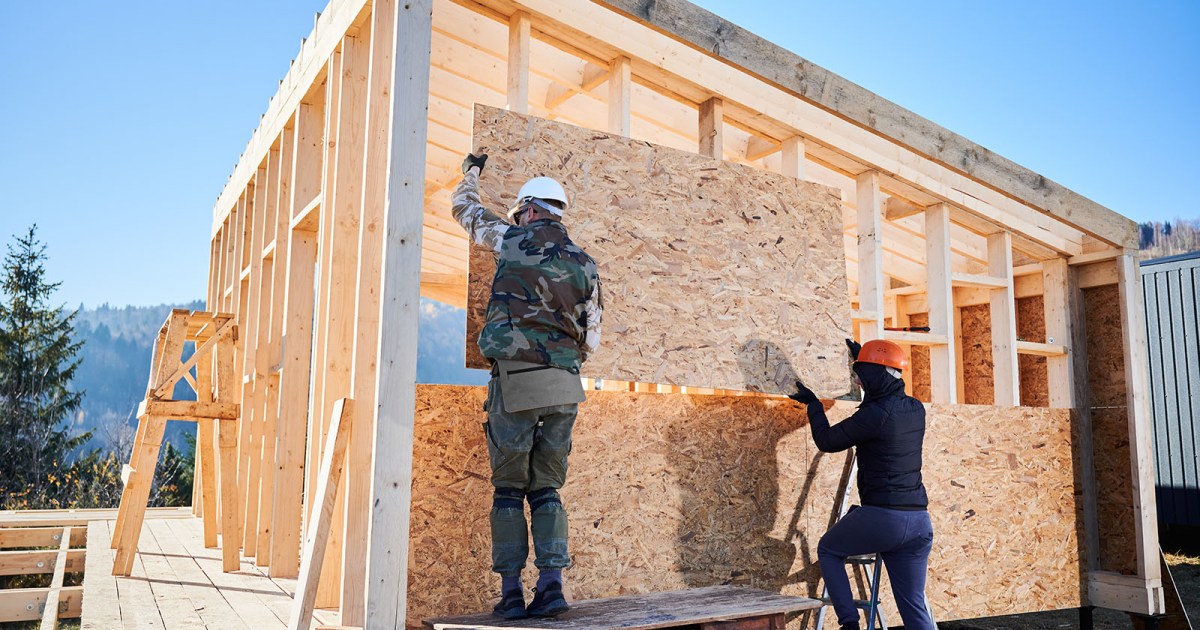 You can build a house out of this super-grass material