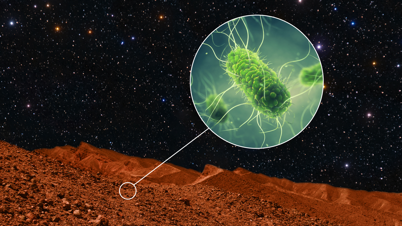 Going to space to find the cure for cancer