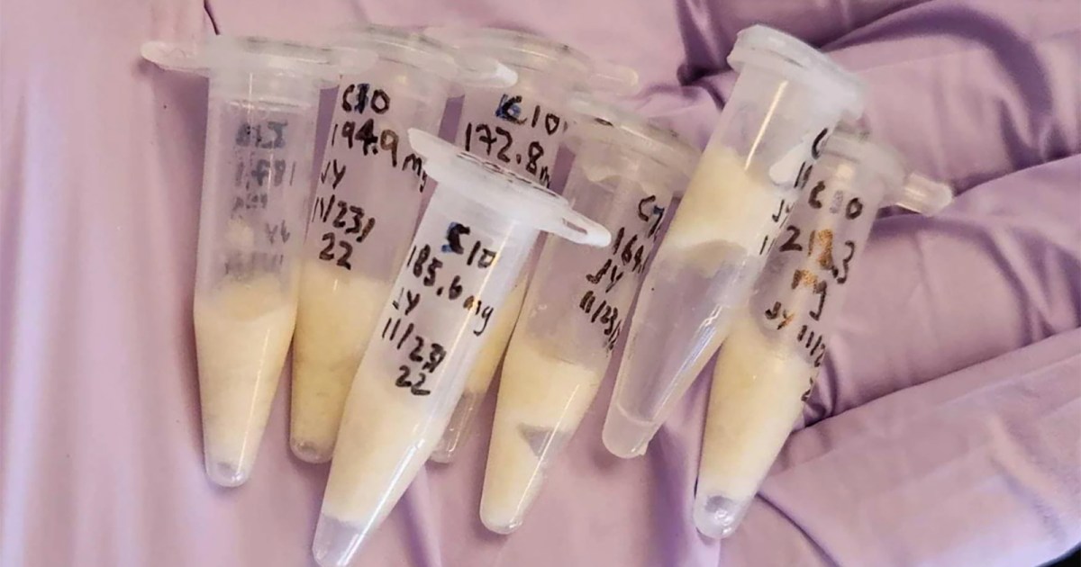 Lab-grown meat is about to get fatty