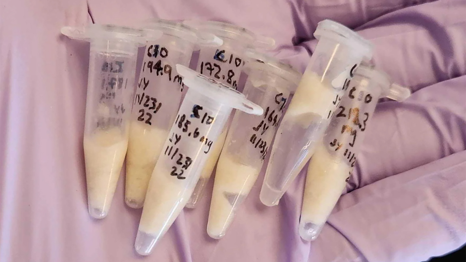 Lab-grown meat is about to get fatty