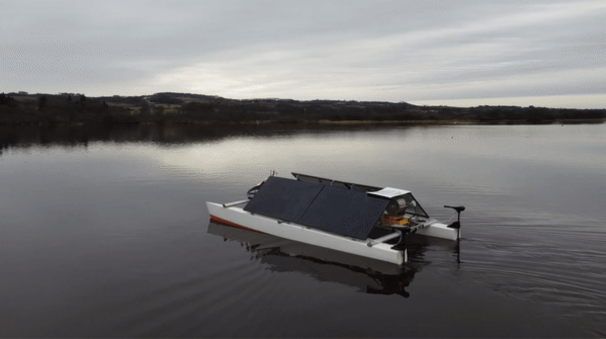 There’s a giant patch of toxic seaweed, and this company wants to bury it