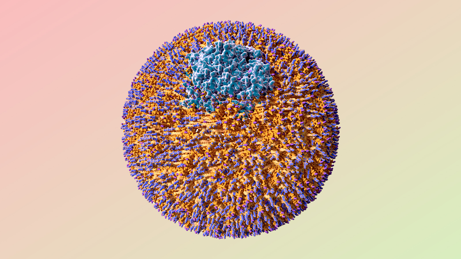 CRISPR tool slashes bad cholesterol by 56% in monkeys