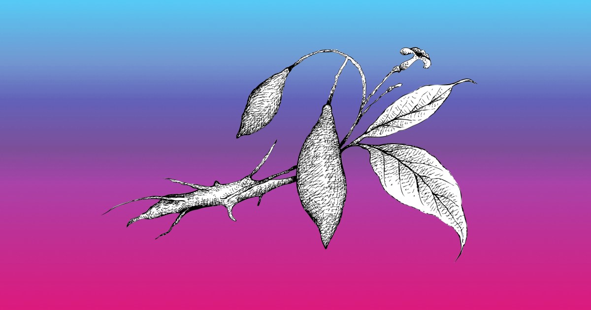 Psychedelic inspires discovery of two new drug candidates for depression