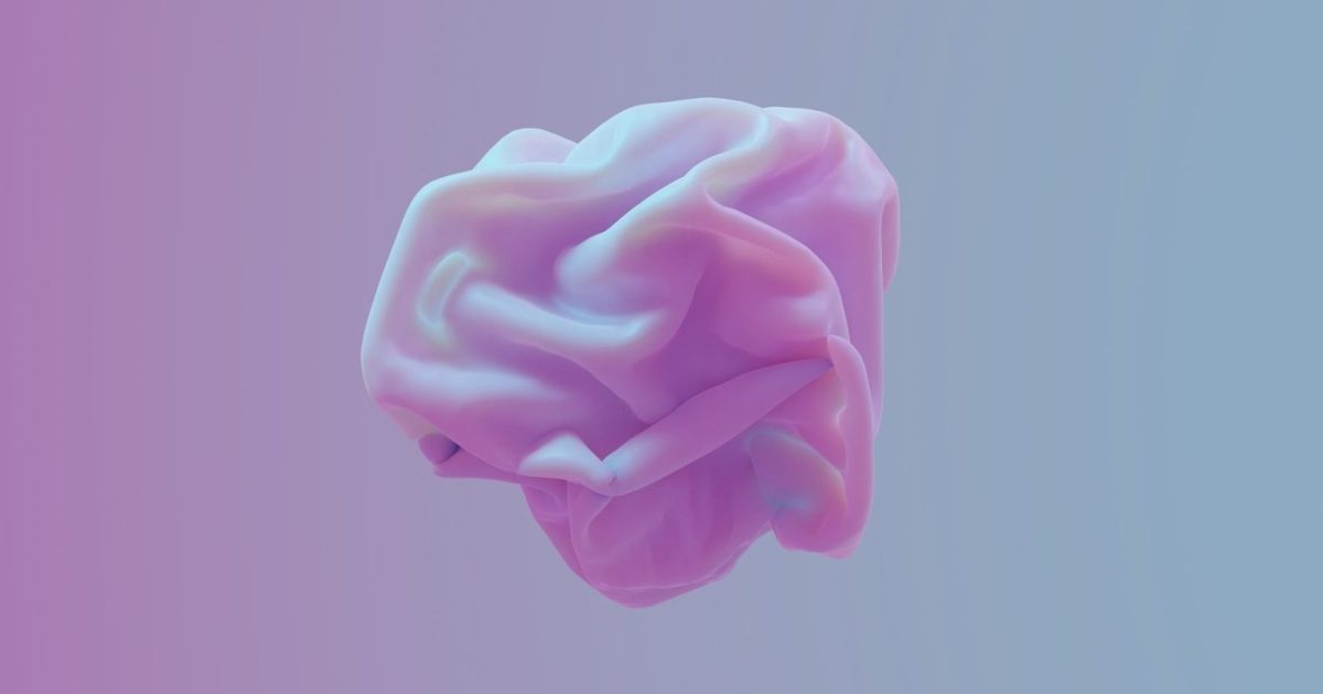 Study shows brain shape is more important than its wiring