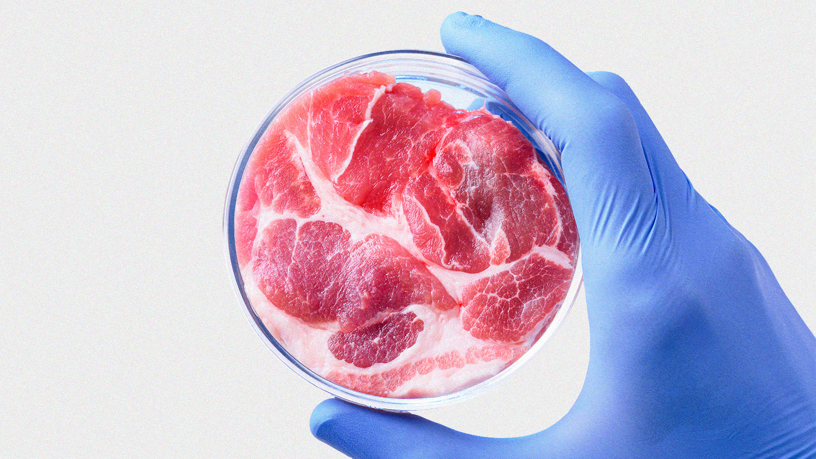Lab-grown chicken is finally approved in the US