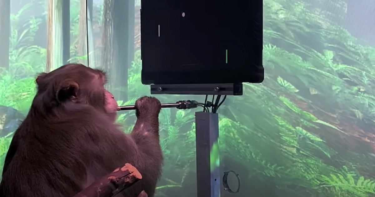 Neuralink's monkey can play Pong with its mind. Elon Musk says human ...