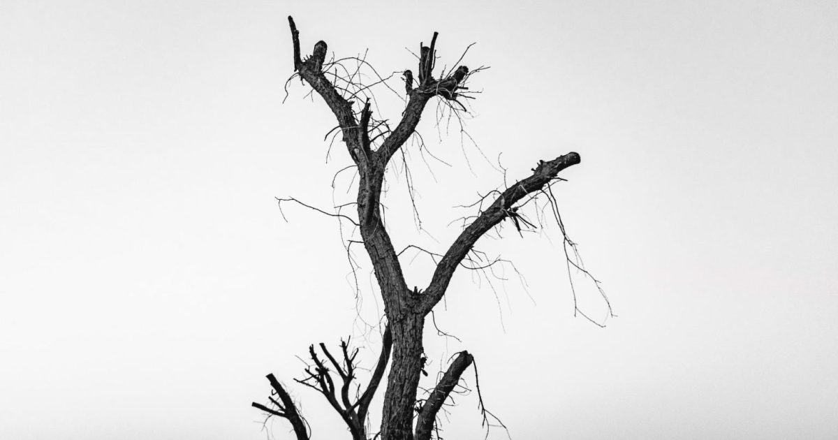 Sooner or later we all face death. Will a sense of meaning help us?