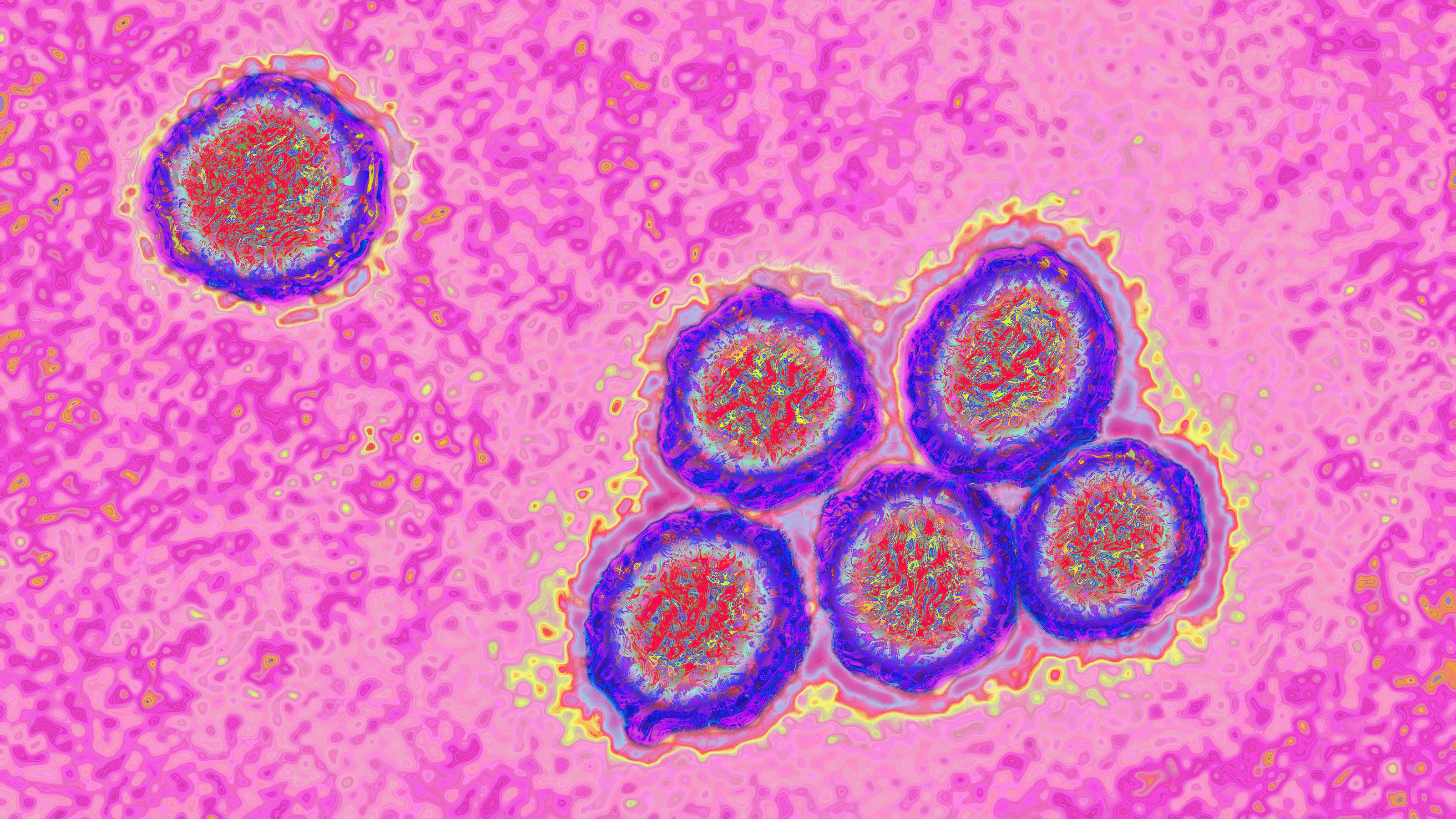 New meningitis vaccine is the first to cover new emerging strain