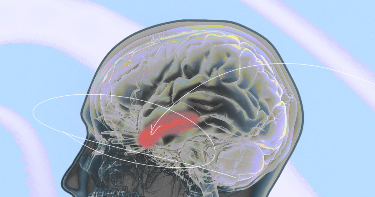 This unique human brain structure may have given us speech