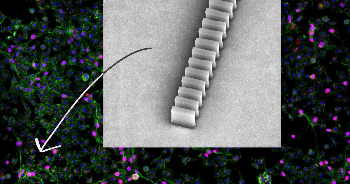 New molecular test can quickly detect thousands of targets