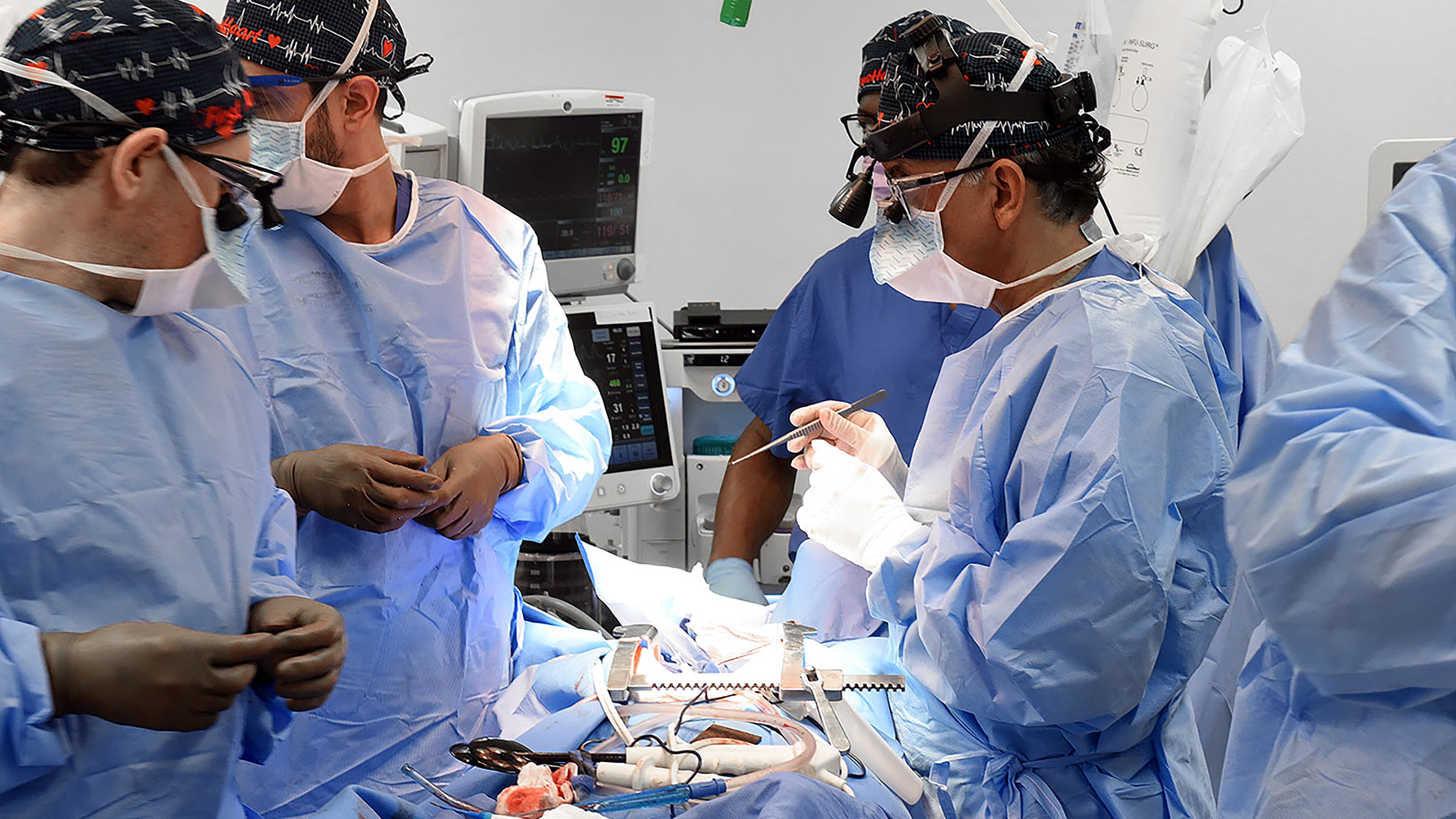 Gene-edited pig heart gives dying man a second chance (Updated)