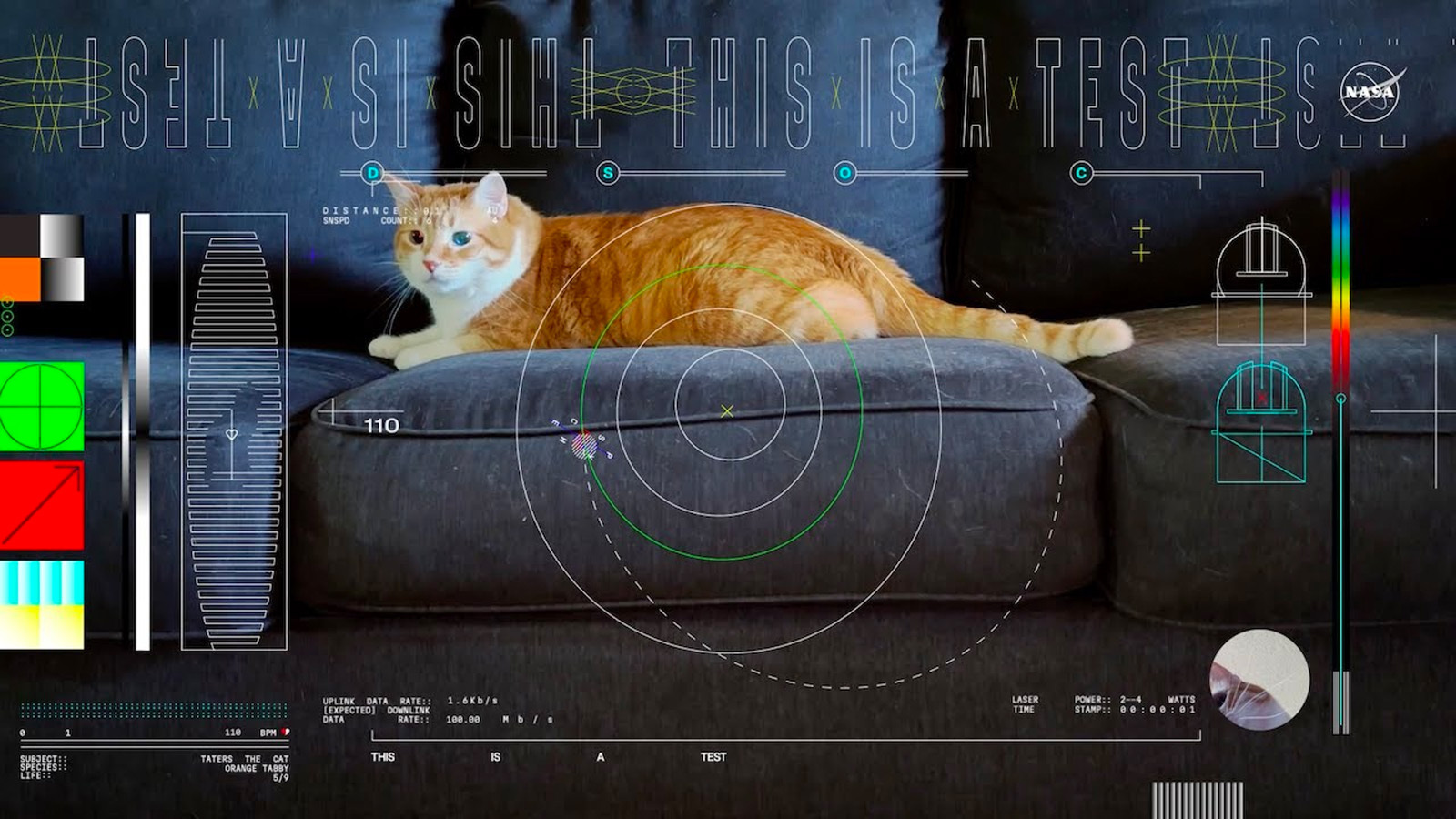 NASA beams home cat video from deep space