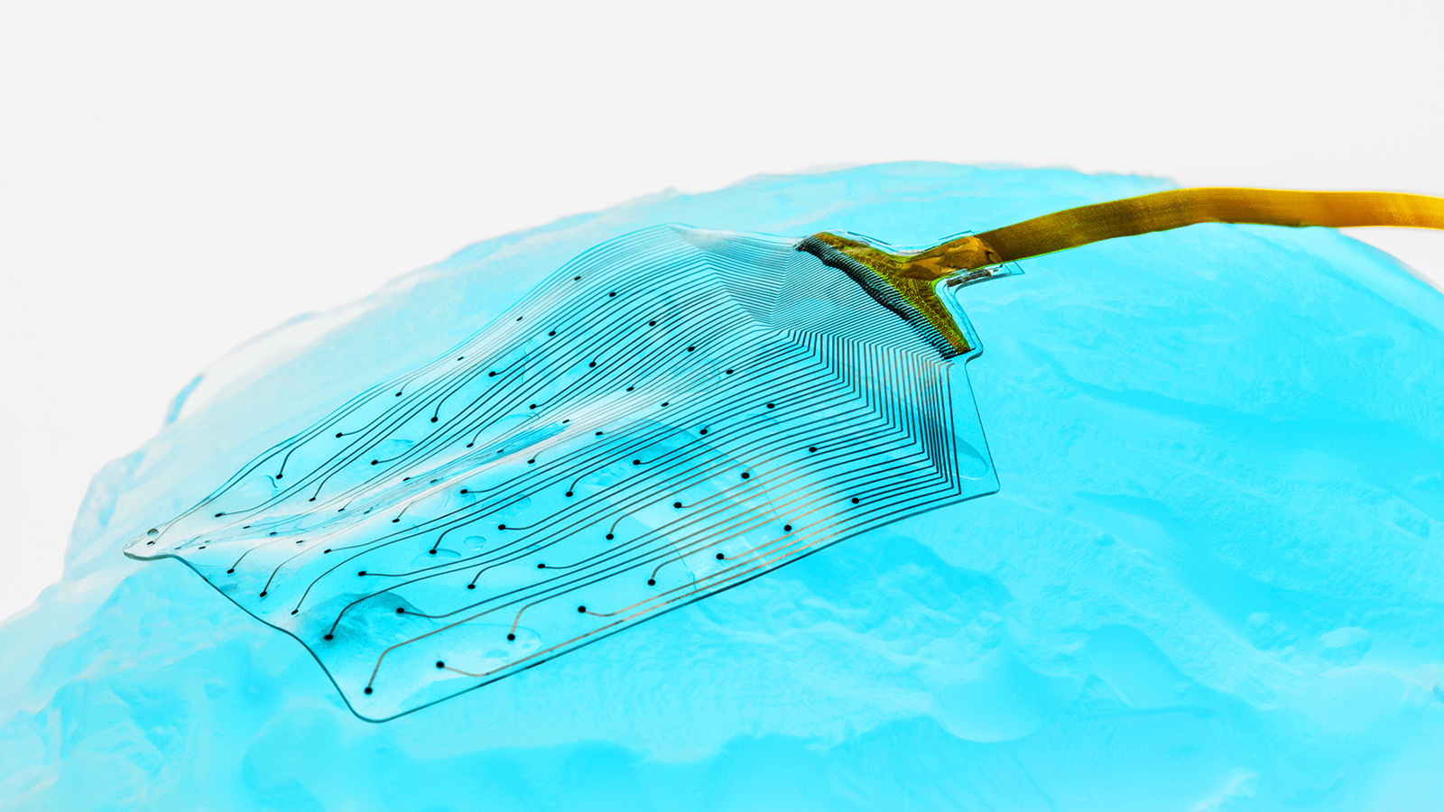 New flexible brain implant is softer and thinner than existing devices