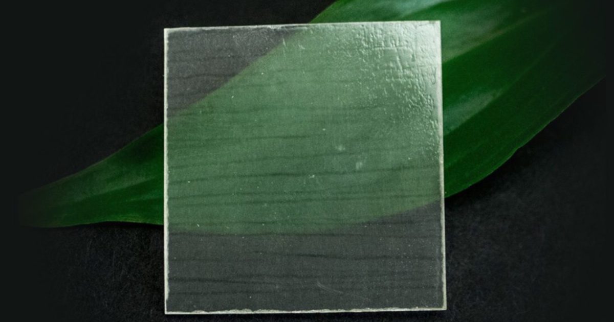 Why scientists are making transparent wood