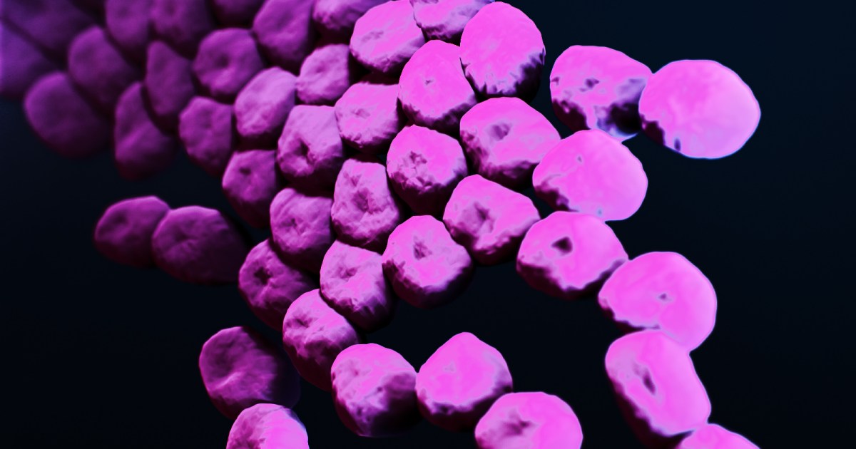 Superbug-killing new antibiotic is now in human trials