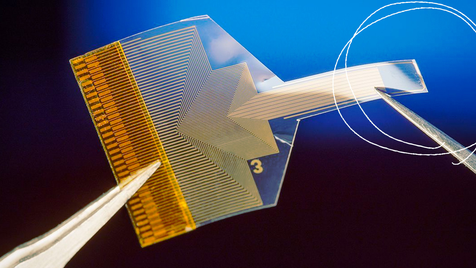 This “supermaterial” created a transparent brain implant