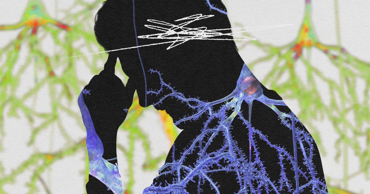 How does Alzheimer’s disease erode memory? New findings on risk gene ...